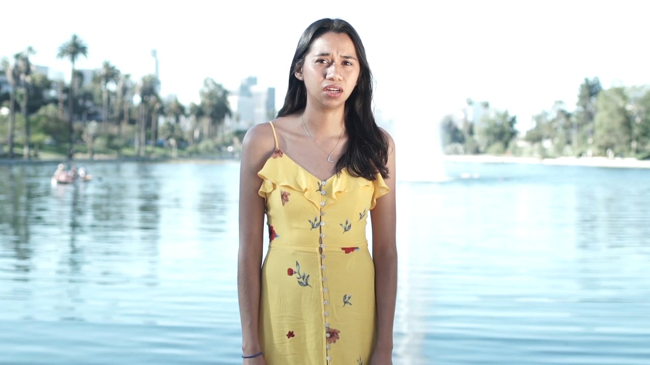 I Am Brown | UCLA Art & Global Health Center